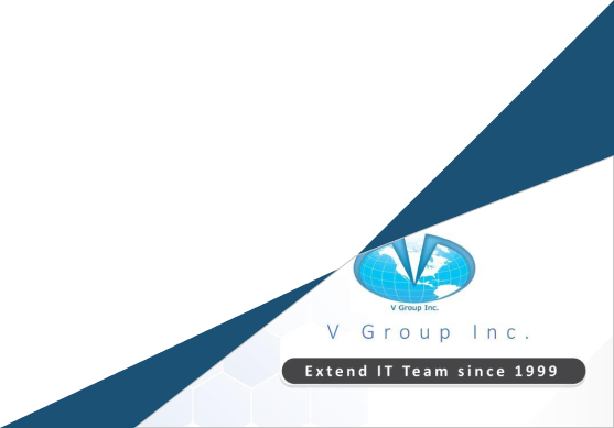 Offerings | V Group Inc.