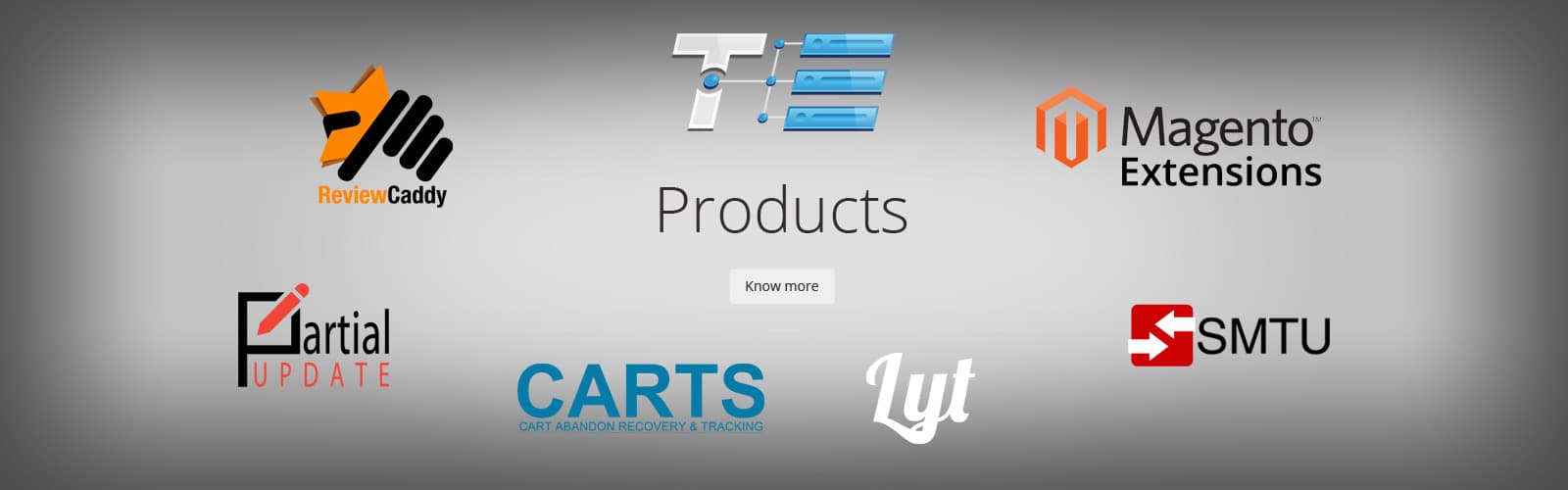 Homepage | V Group Inc.
